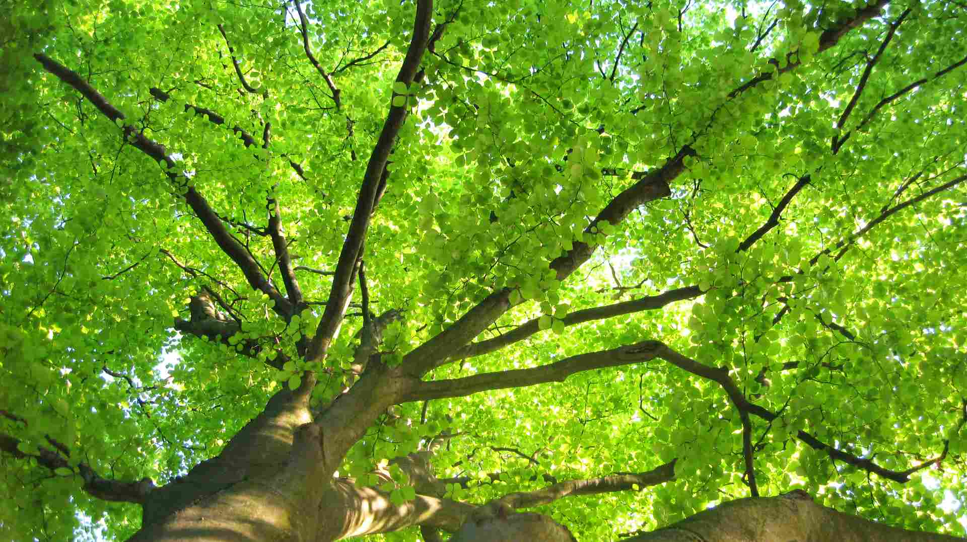 Spanish Weather And Seasons Flashcards Memorang Spanish Weather And Seasons Flashcards Memorang