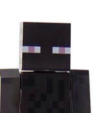 Minecraft Mobs Flashcards | Memorang