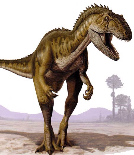 Anacleto Formation Flashcards | Memorang