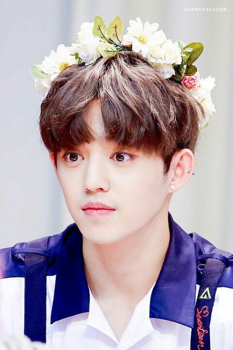 Seventeen Members Flashcards | Memorang