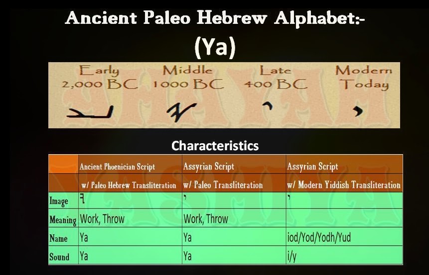 Paleo Hebrew Flashcards | Memorang