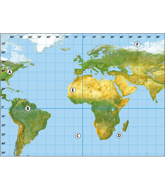 Das Gradnetz Flashcards | Memorang