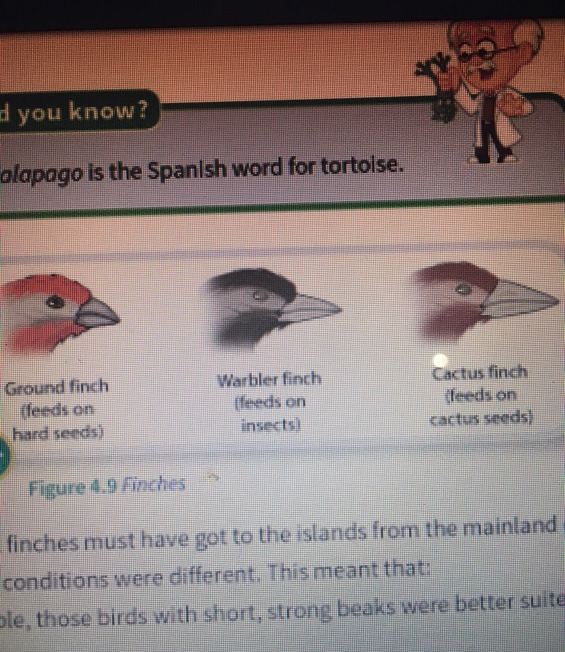 Origins of Living things Flashcards | Memorang