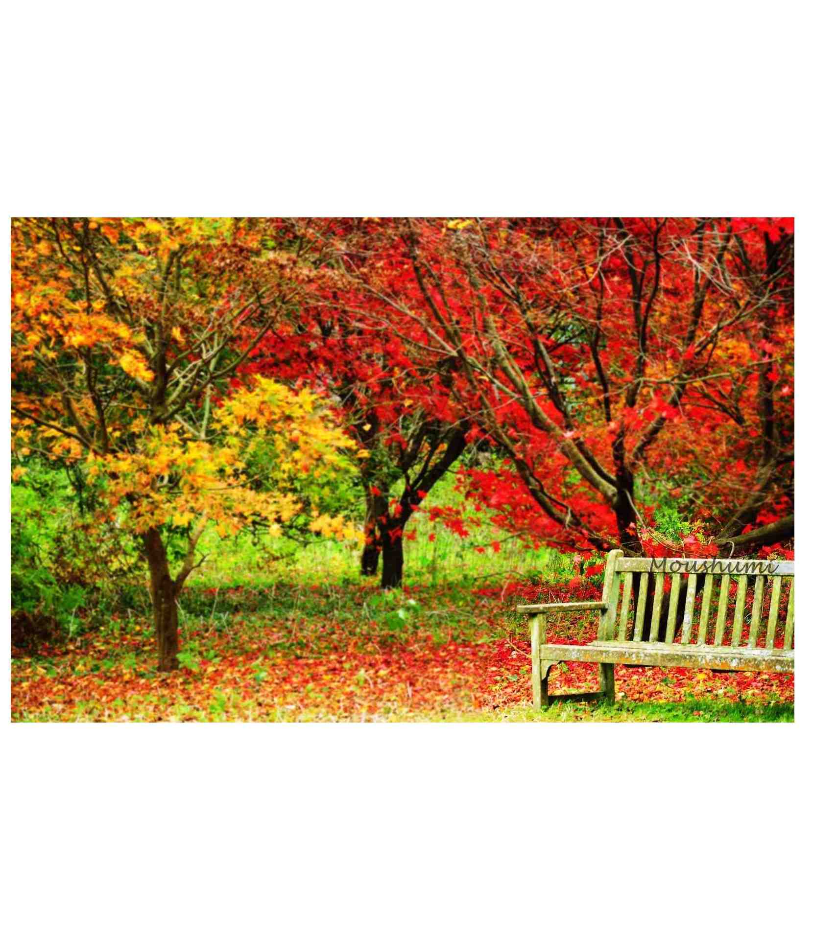 los meses del ano Flashcards | Memorang