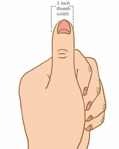 Vocab Flashcards | Memorang