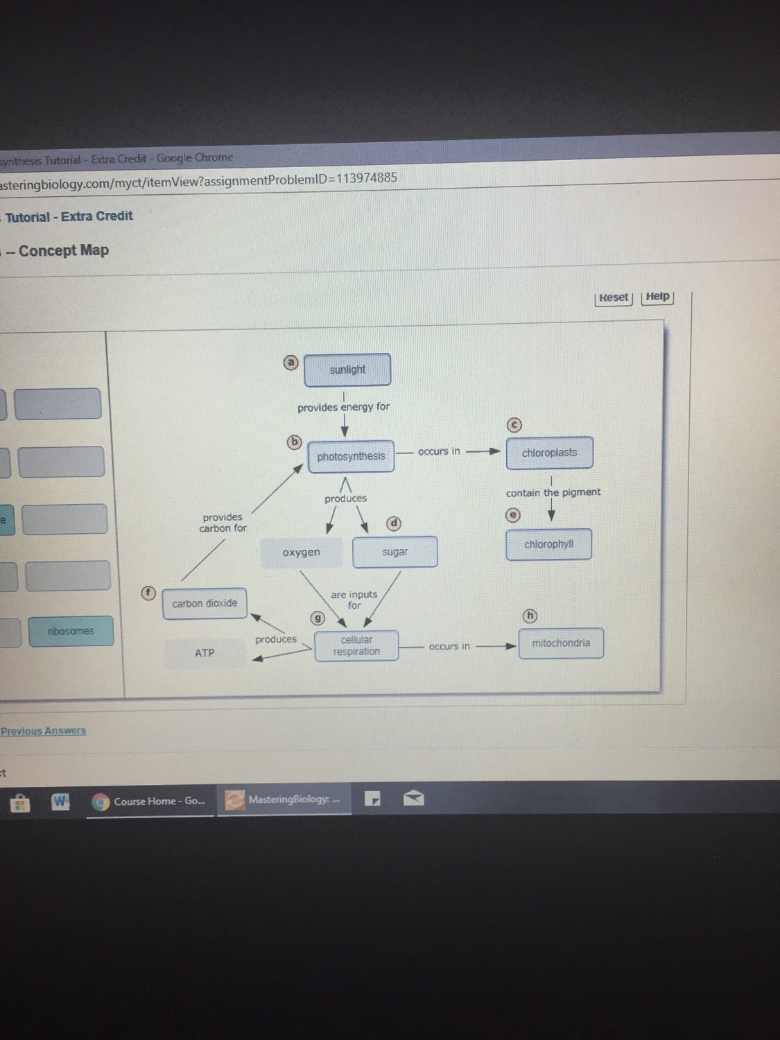 Ch 9 Flashcards | Memorang