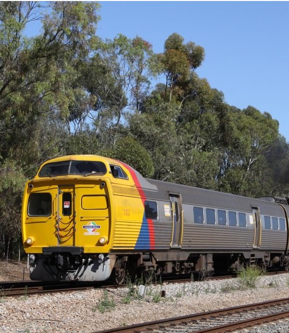 ADELAIDE TRAINS AND OTHER METRO TRANSPORT Flashcards | Memorang