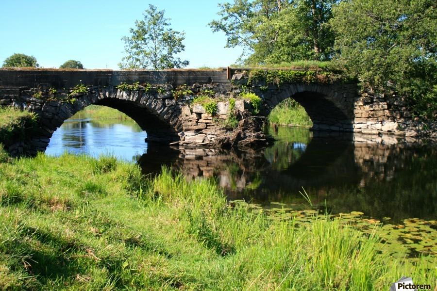 Countryside Flashcards | Memorang