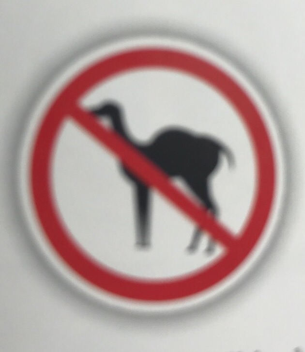 Qatar Signal Test Preperation Flashcards | Memorang