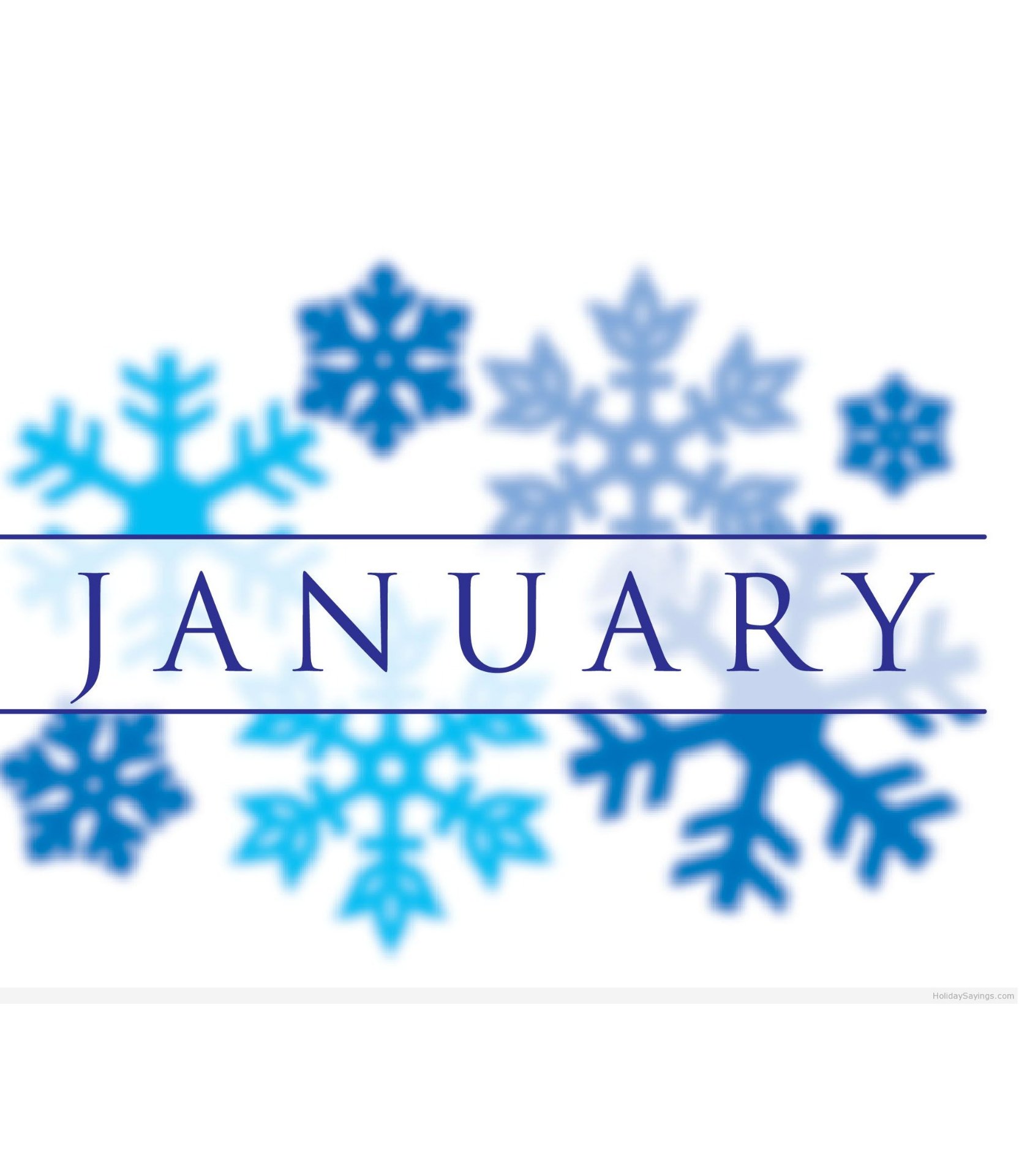 Meses del año Flashcards | Memorang