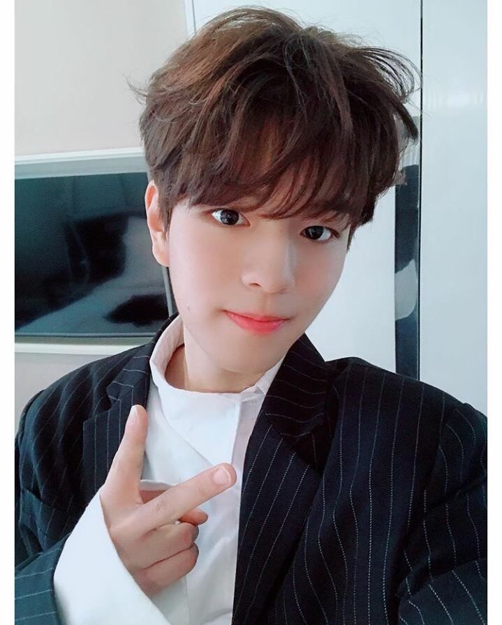 Learn Stray Kids’ Members Flashcards | Memorang