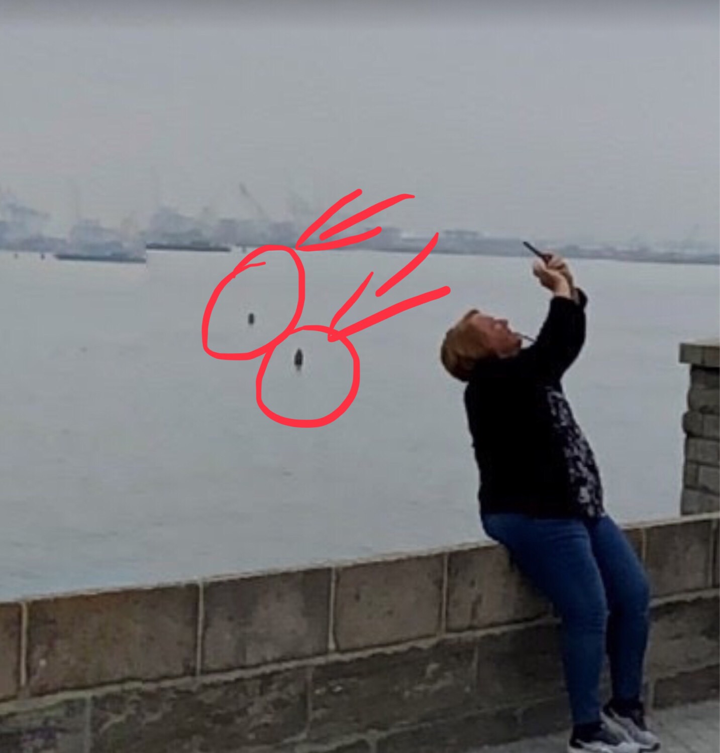 Memes Flashcards | Memorang