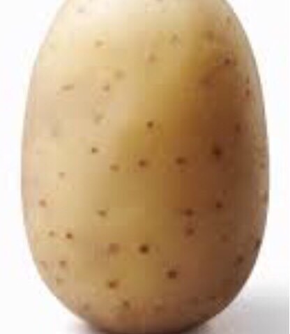 Potato Flashcards | Memorang