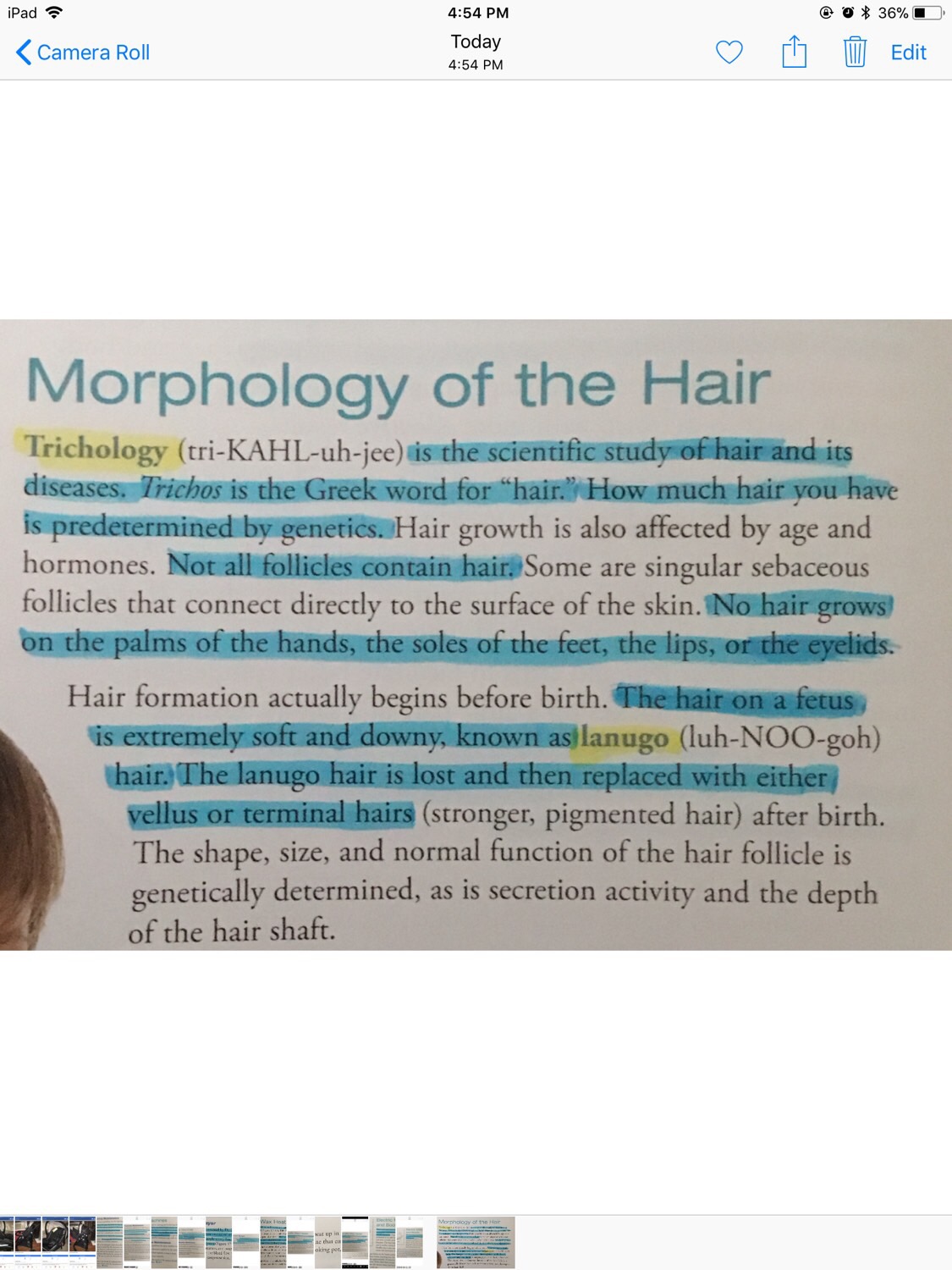 Milady’s Chapter 18 Flashcards | Memorang