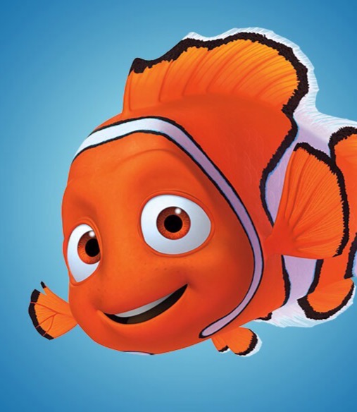 Finding memo and dory Flashcards | Memorang