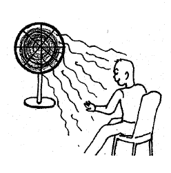 Pulaar Verbs 3 Flashcards | Memorang