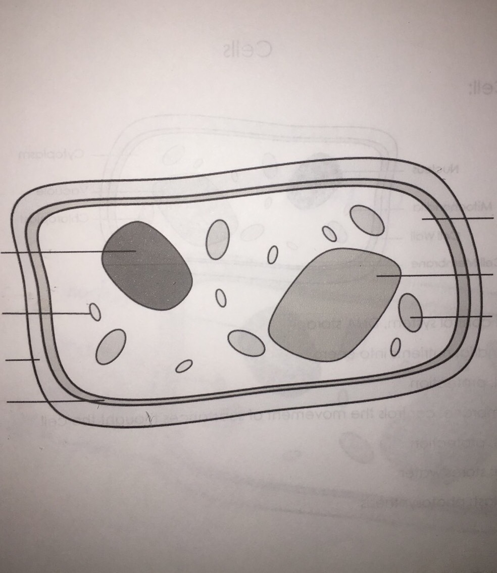 Science mid year exam study Flashcards | Memorang