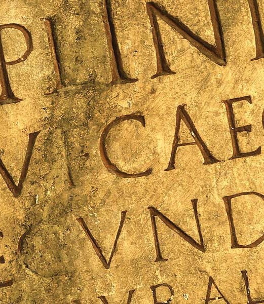 Latin Flashcards | Memorang