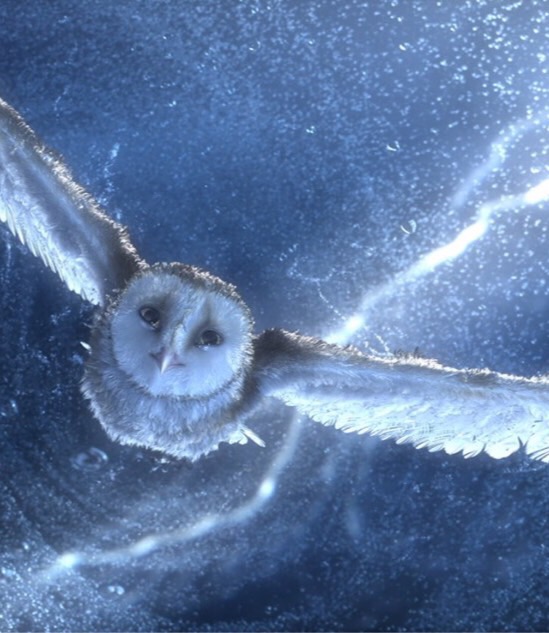 Famous Owls Flashcards | Memorang