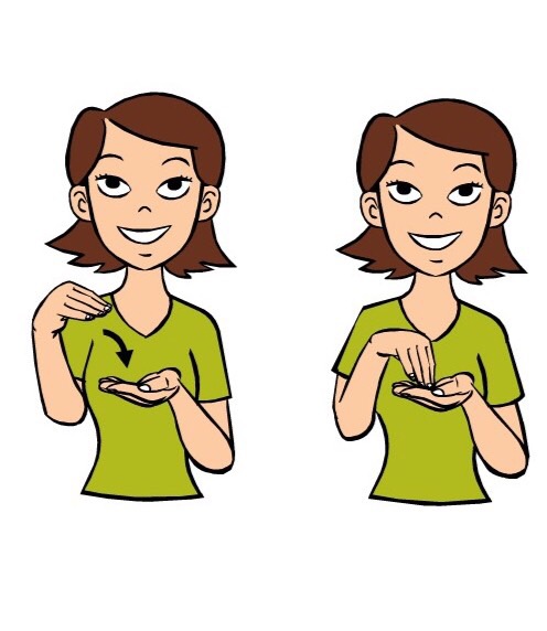 ASL 95 card crash course Flashcards | Memorang