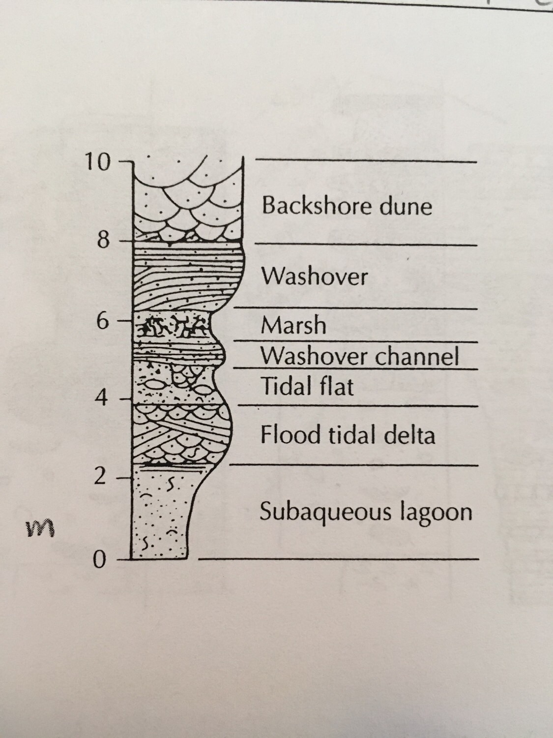 Siliciclastic Depositional Environments Flashcards Memorang