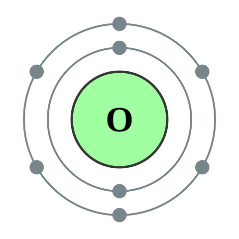 Cell Structure and Function Flashcards | Memorang
