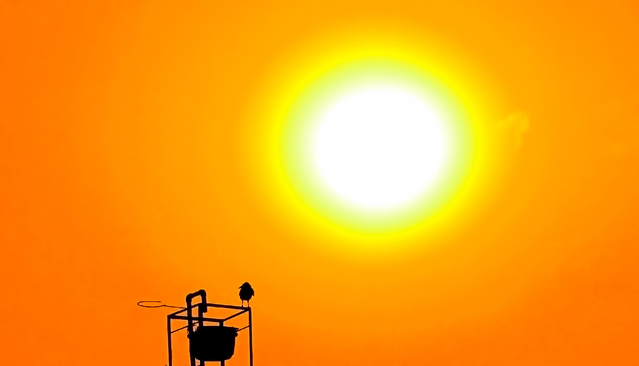 Unit 1 Flashcards Memorang