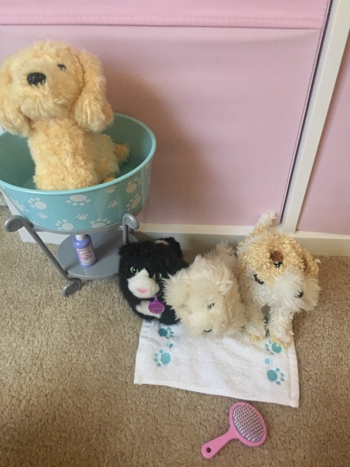 American girl dolls Flashcards | Memorang