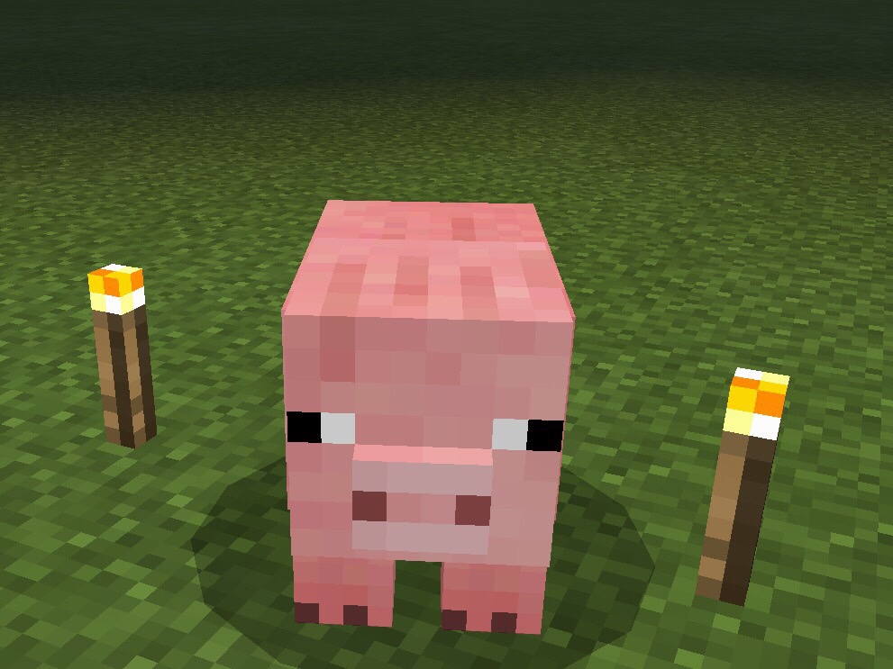Minecraft Mobs Flashcards | Memorang