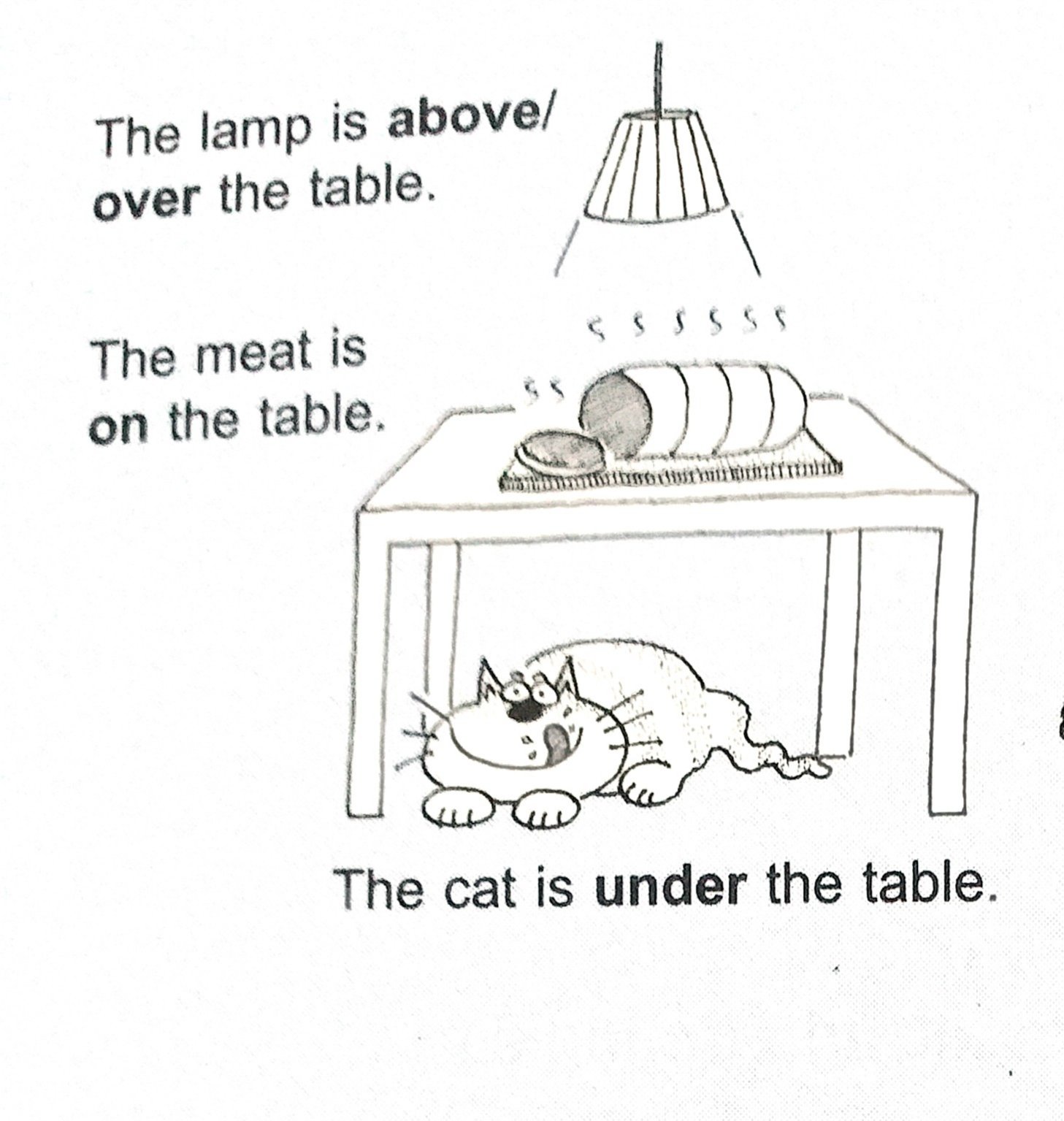 Under Behind Opposite Flashcards Memorang Under Behind Opposite Flashcards Memorang