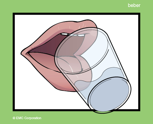 Level 3 Verbs - All Flashcards | Memorang