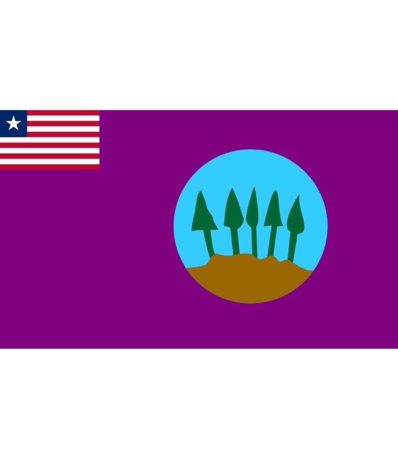 Liberian County Flags Flashcards | Memorang