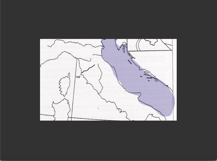 Rome Flashcards | Memorang