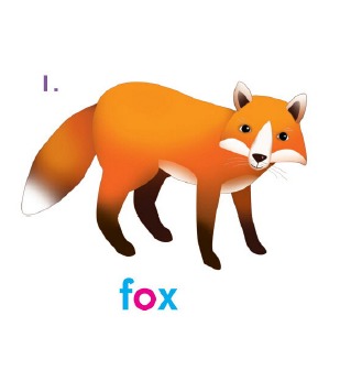 Unit 6 Short Vowels Flashcards | Memorang