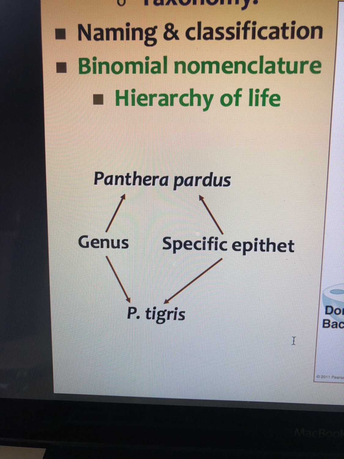 Bio 212 Lecture Final 3 Flashcards Memorang