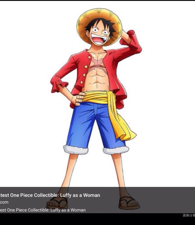 One piece Flashcards | Memorang
