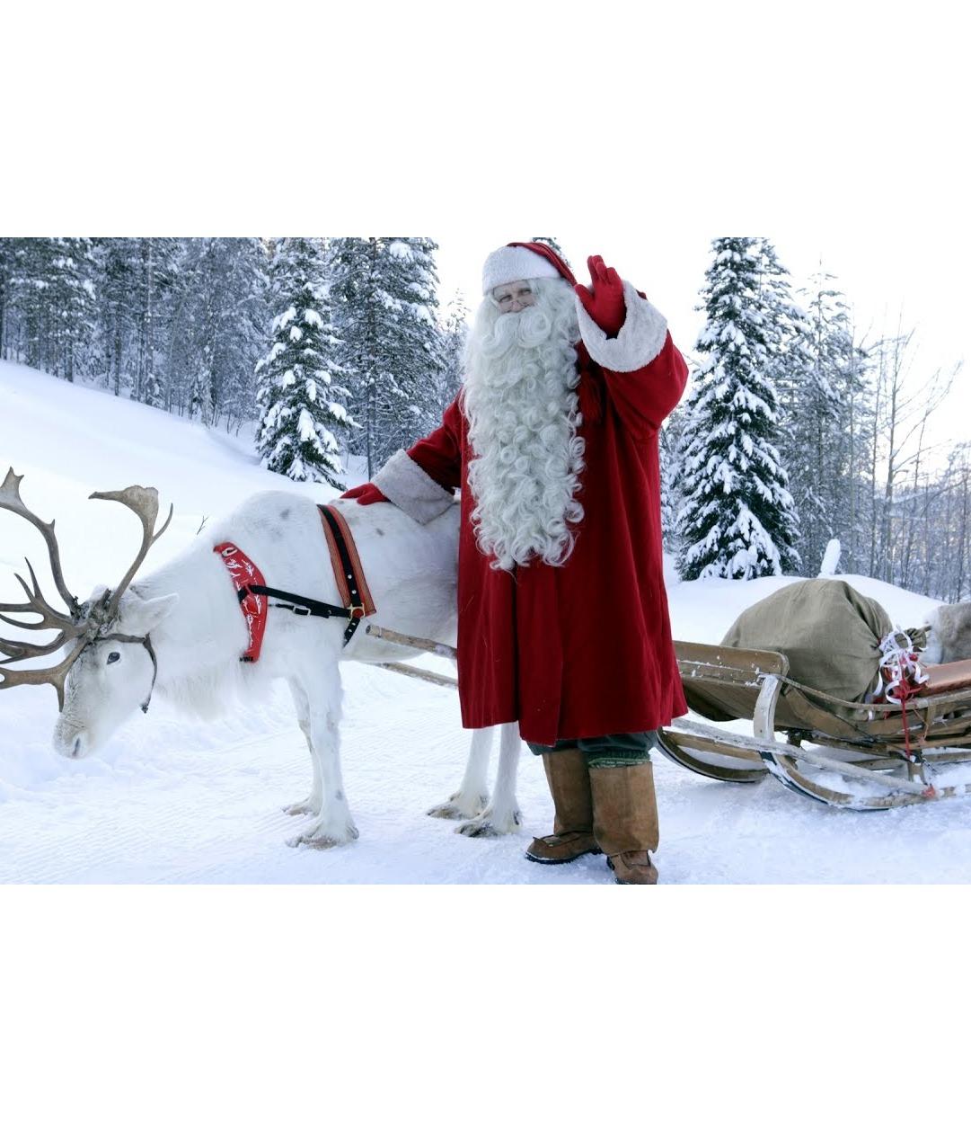 Turenki Christmas Flashcards | Memorang