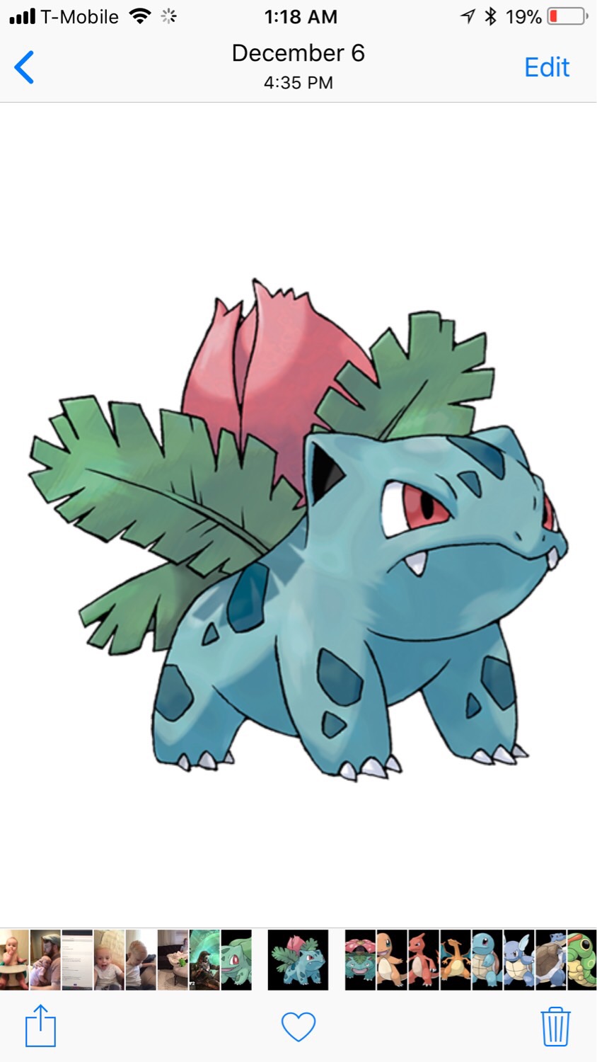 Pokémon Evolutions Flashcards Memorang