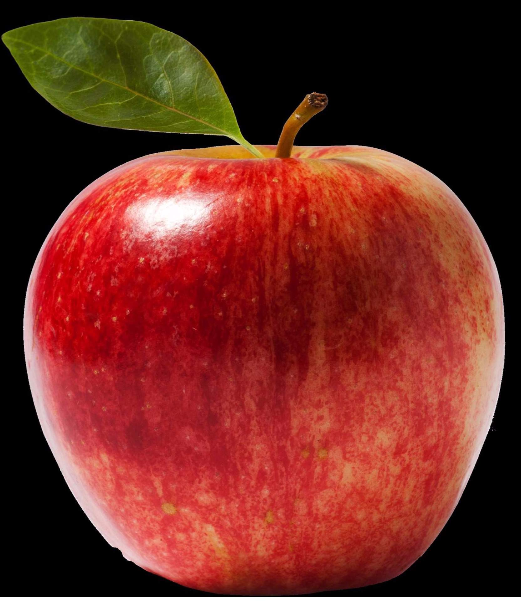 Sign Language Flashcards | Memorang