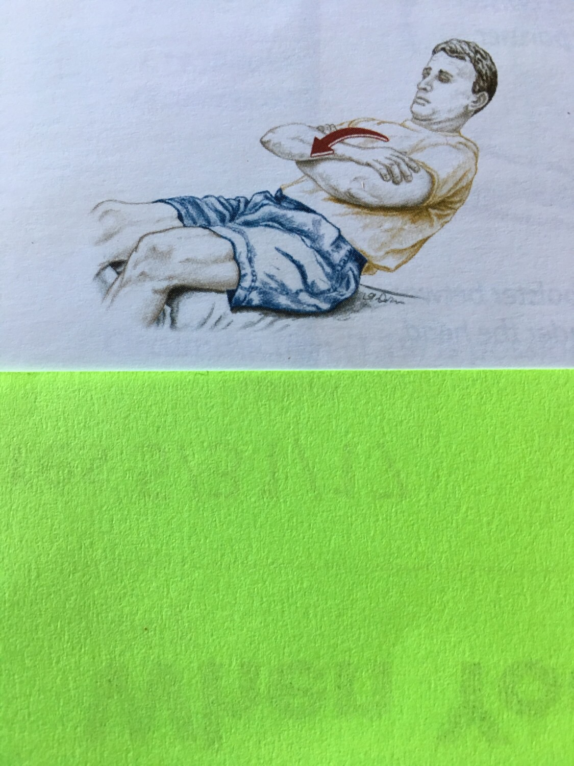 Movements of the Body Flashcards | Memorang