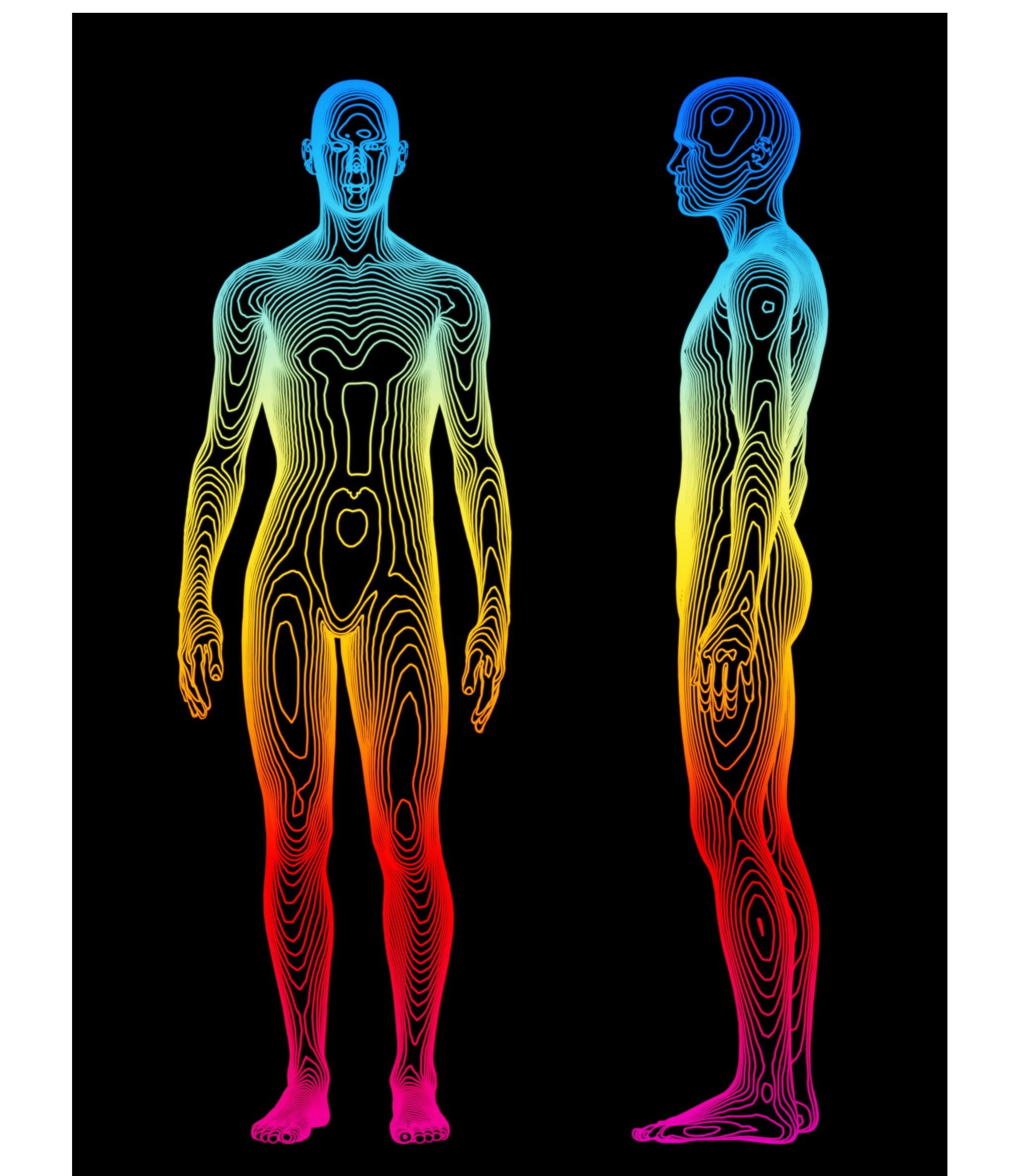 El Cuerpo/The Body Flashcards | Memorang