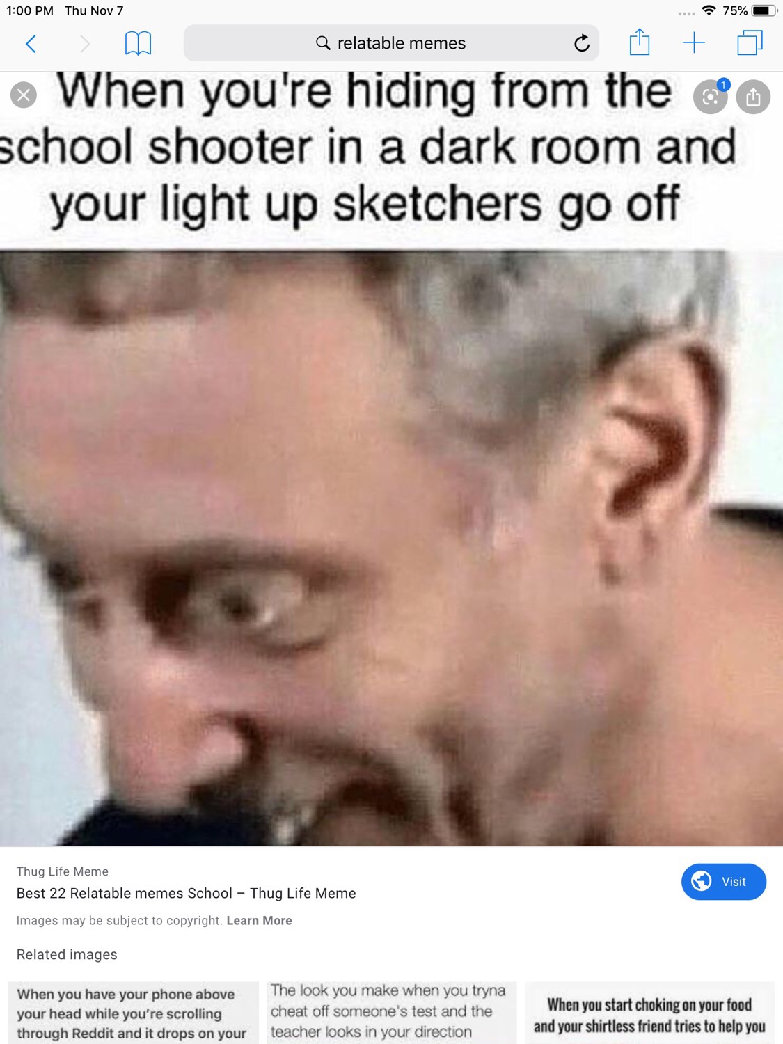 Memes v10.0 Flashcards | Memorang