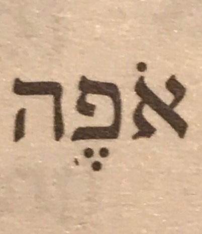 Chapter 11-12 Flashcards | Memorang