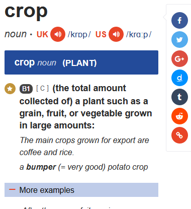 New words 2 Flashcards | Memorang