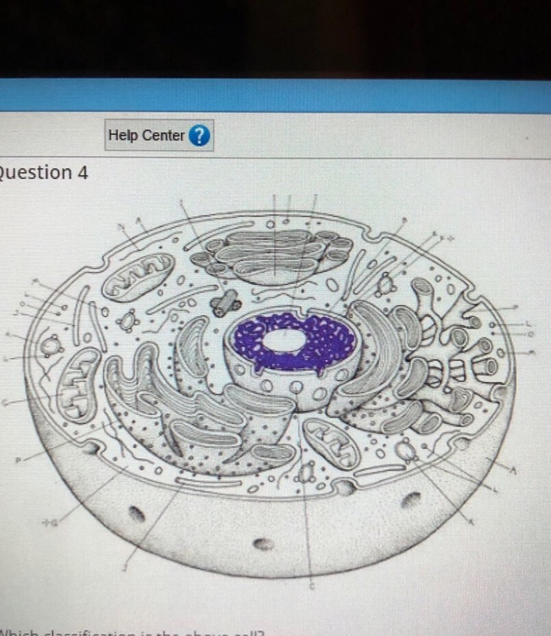 Science quiz Flashcards | Memorang