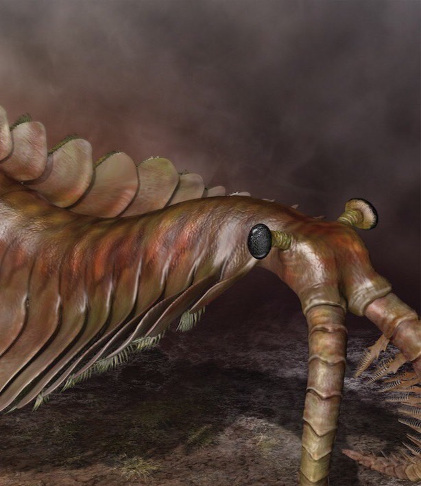 Prehistoric Creatures Part 1 (Cambrian-Jurassic) Flashcards | Memorang