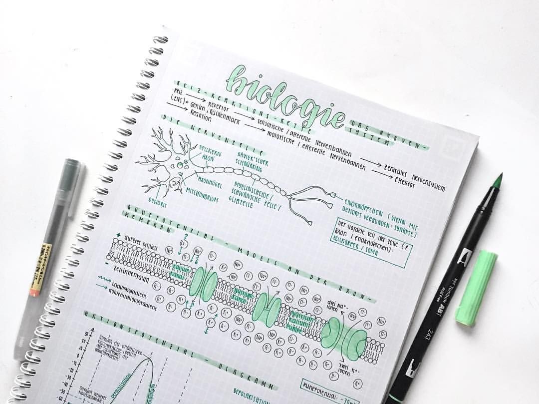 How To Take Pretty Notes Flashcards Memorang