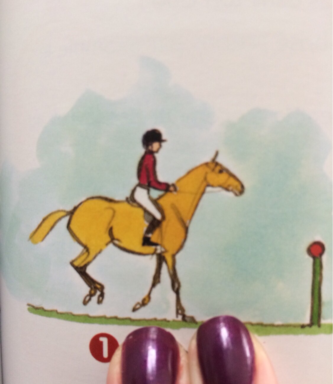 Galop 4 part 1 Flashcards | Memorang