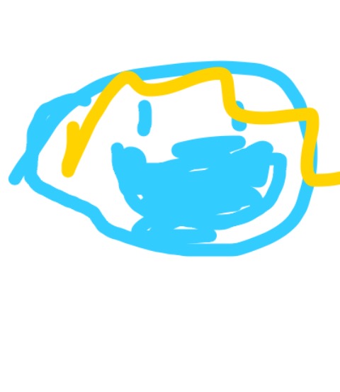 Random Flashcards | Memorang