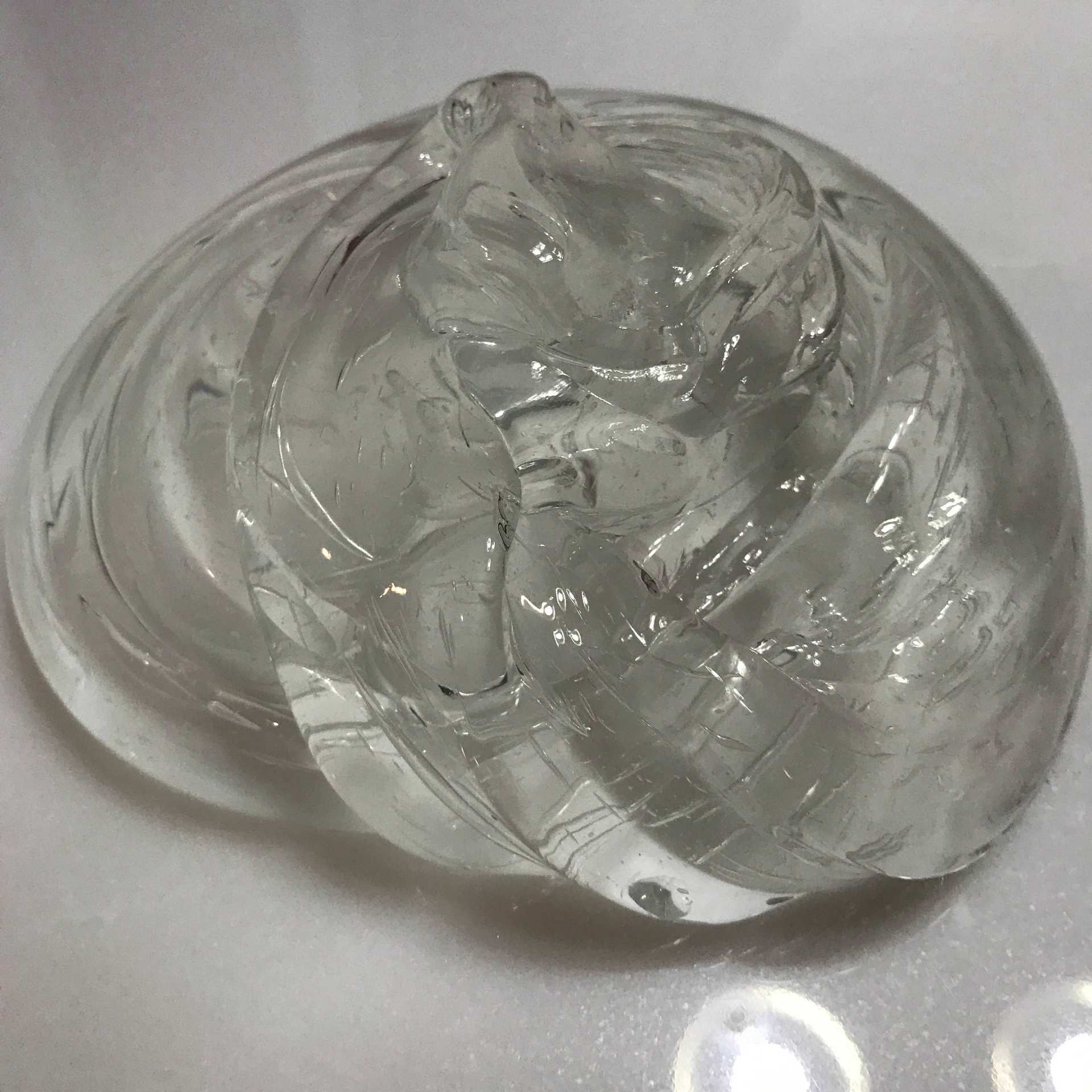 glitter slime Flashcards | Memorang